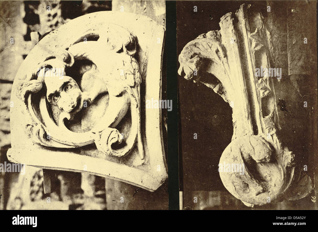 Casts sculpture cornell university library interiors royal ...