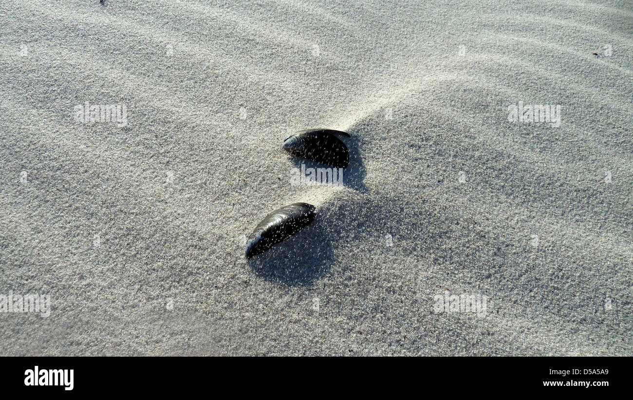 Stones beaches hi-res stock photography and images - Alamy