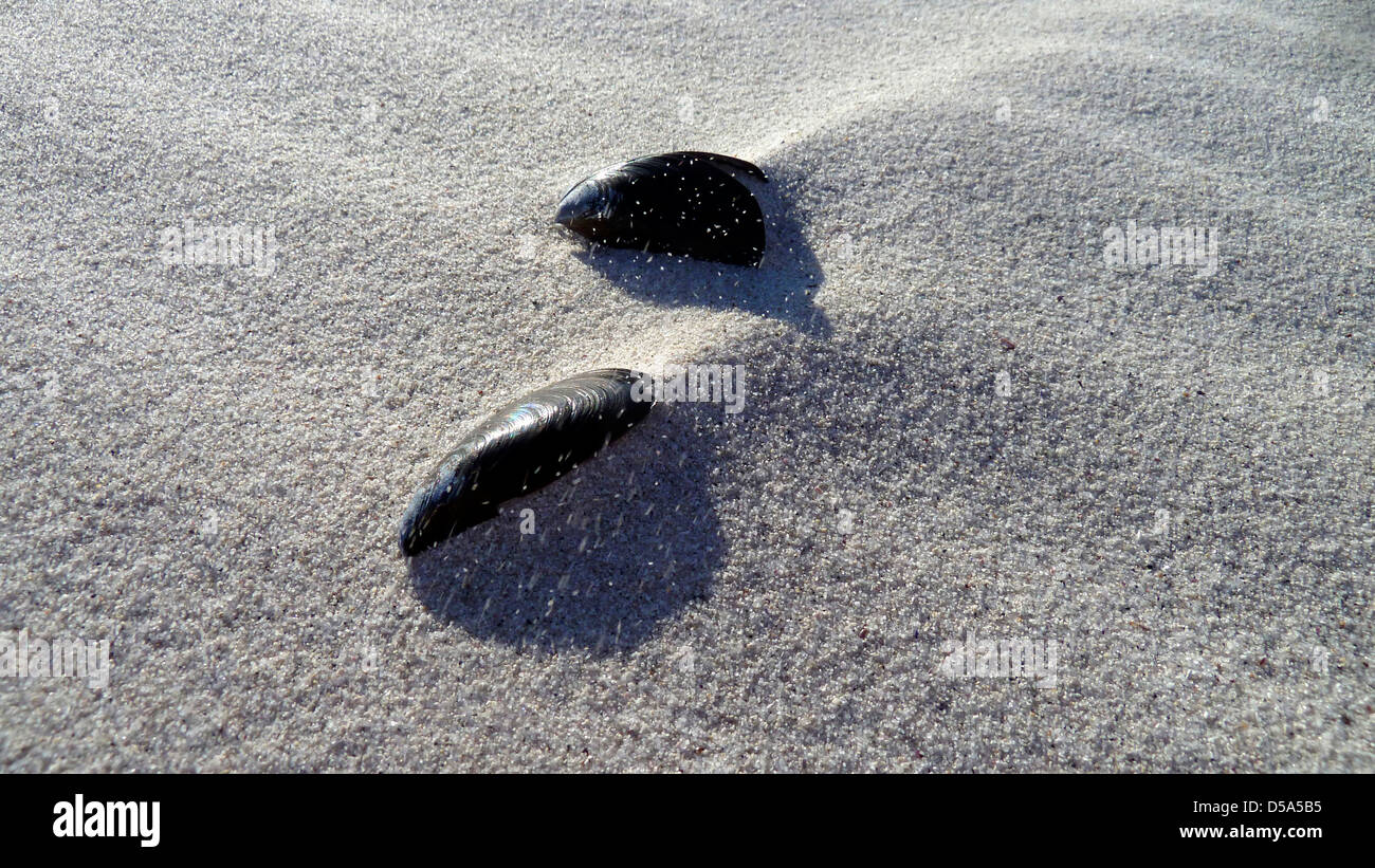 stones in the sand Stock Photo - Alamy