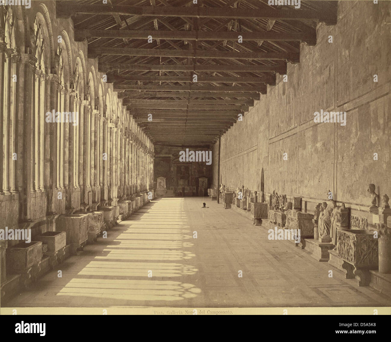 University Of Pisa Library High Resolution Stock Photography and Images ...