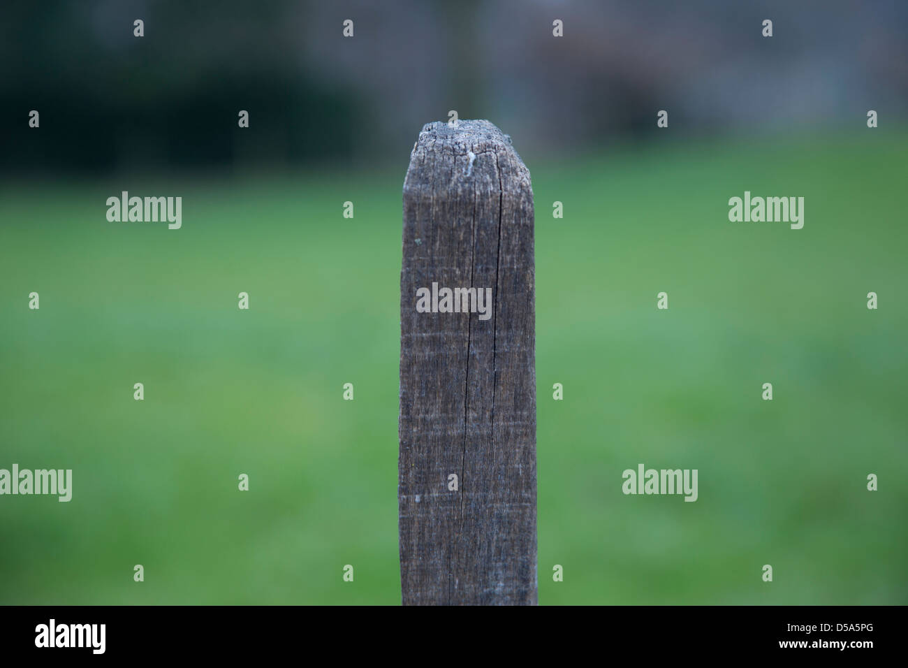 A wooden fence post against a green background. Taken in Basel ...