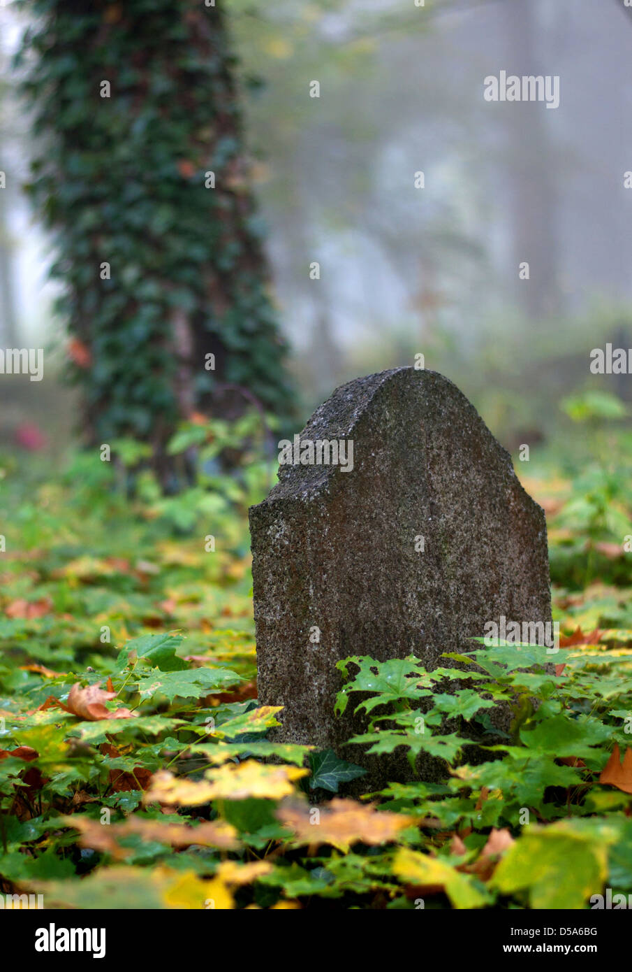 Old Gravestone with leaf on autumn Stock Photo - Alamy
