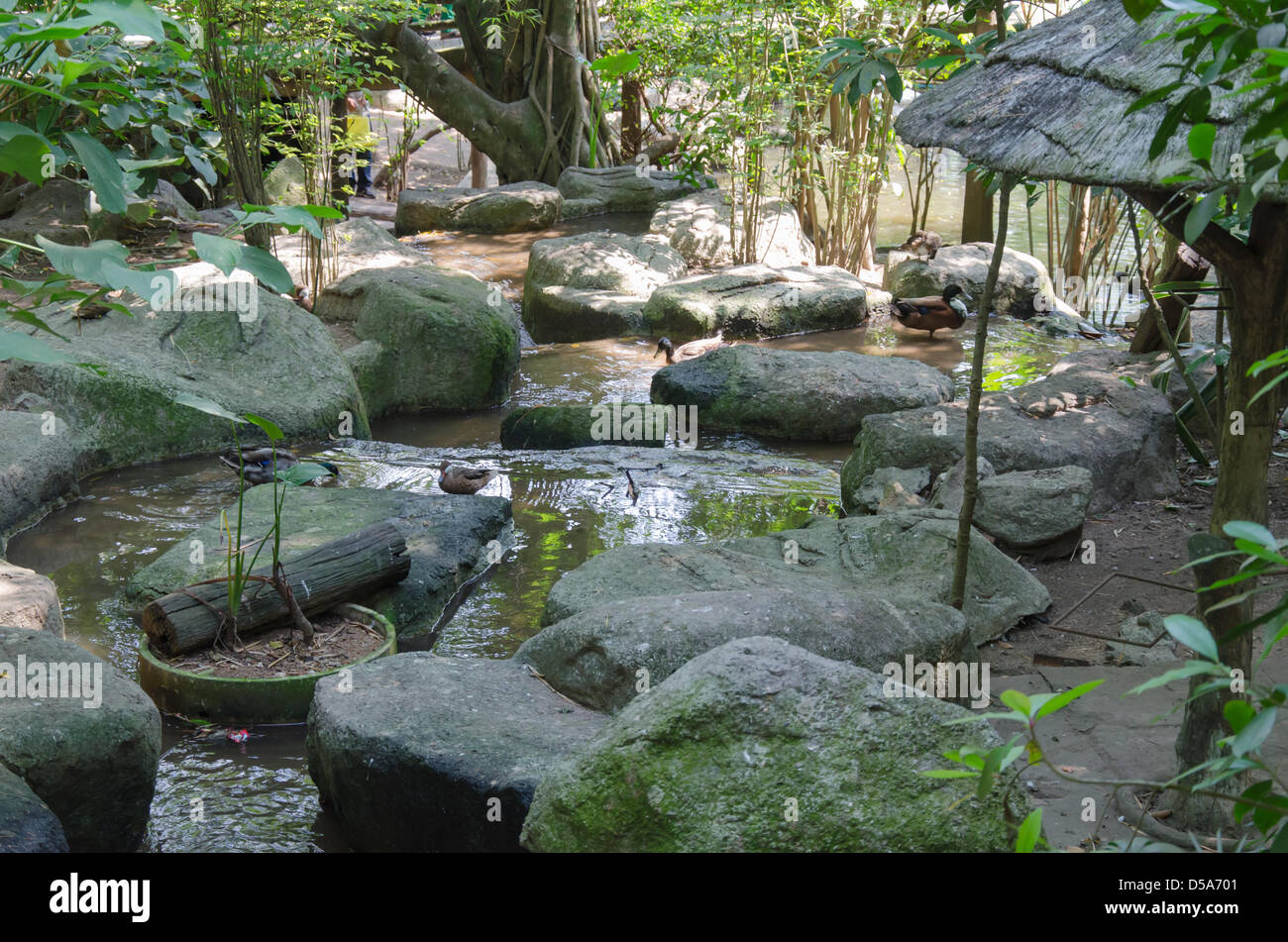 Beautiful motion blurred water stream landscape in a green forest Stock ...