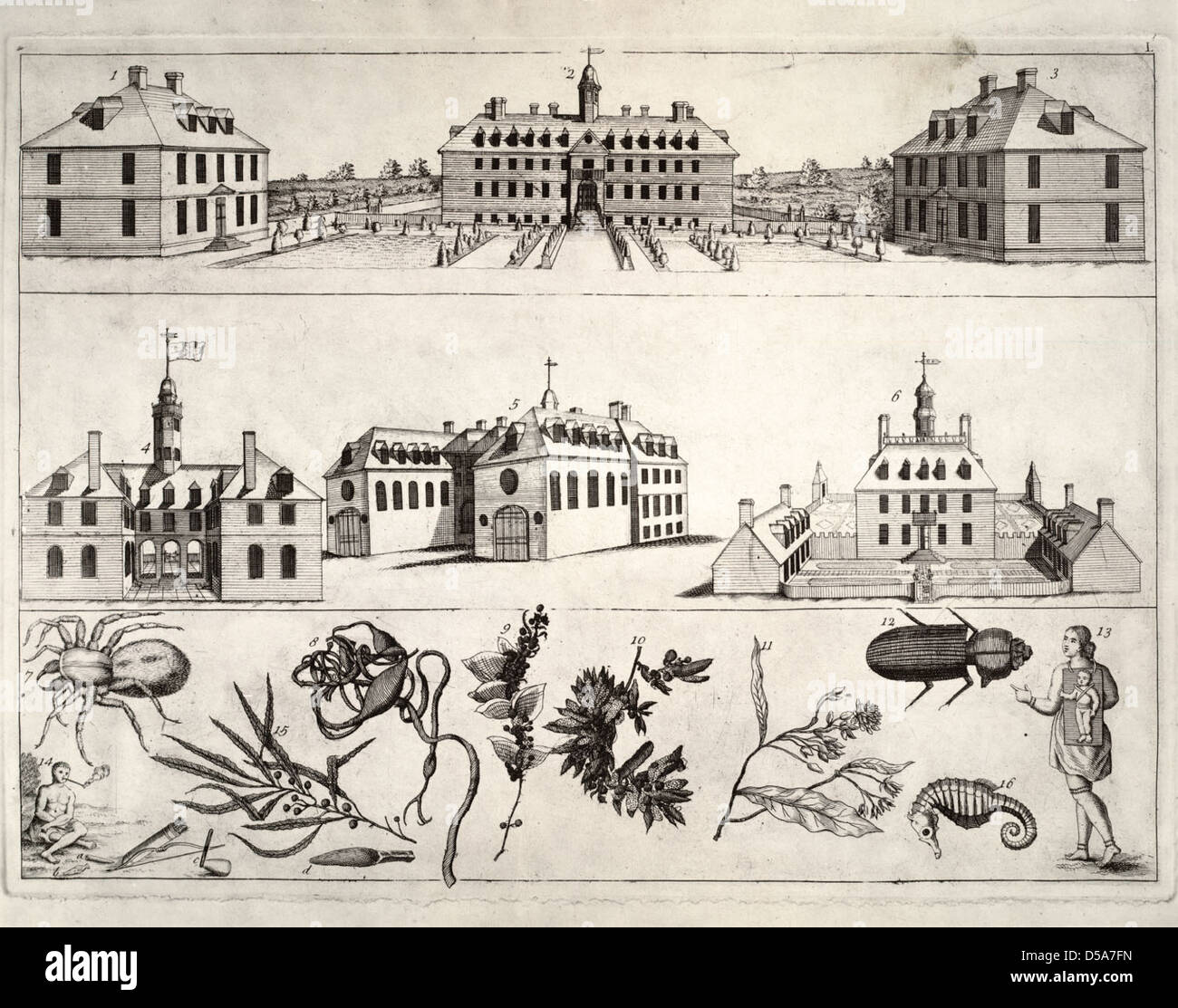 These architectural drawings showcase key buildings of the College of ...
