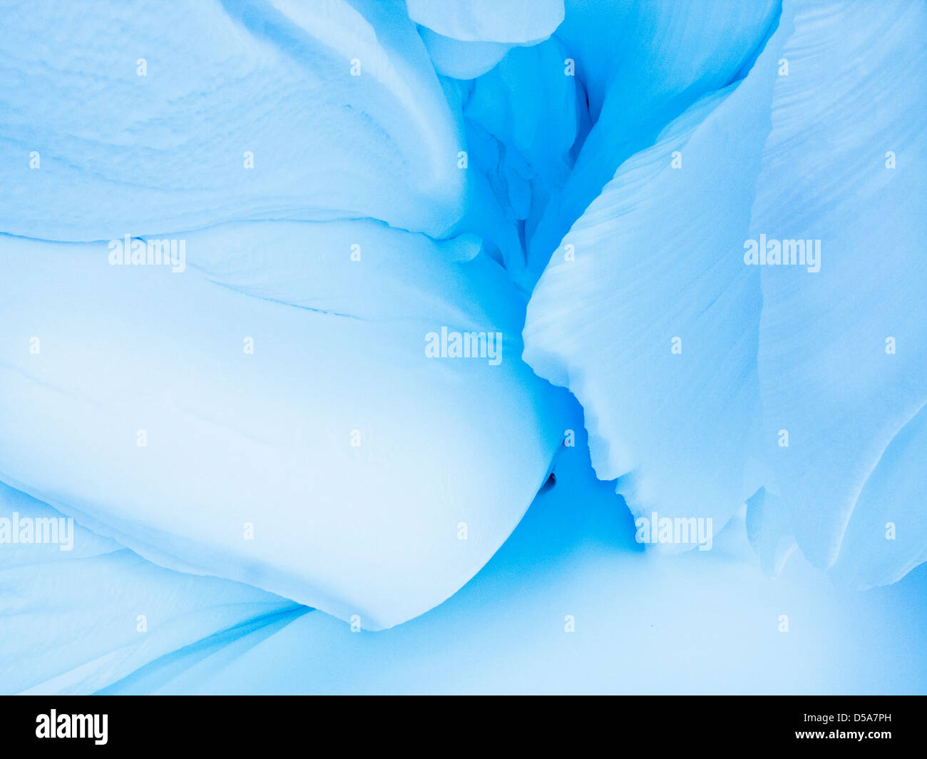 cold,blue arctic snow Stock Photo - Alamy