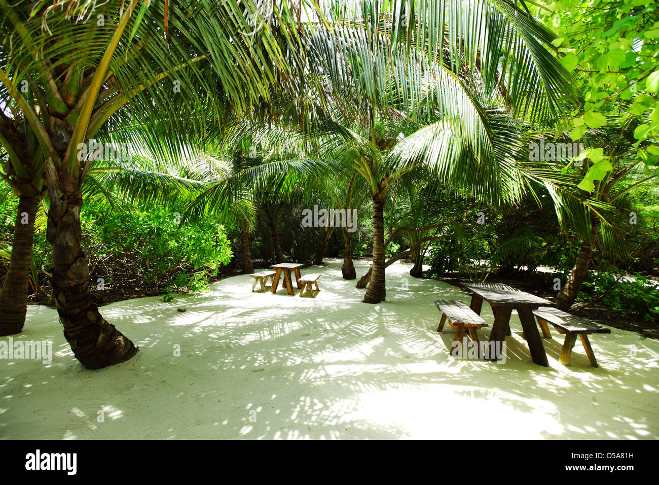 tropical cafe on the background of a palm trees and sky and sea Stock ...