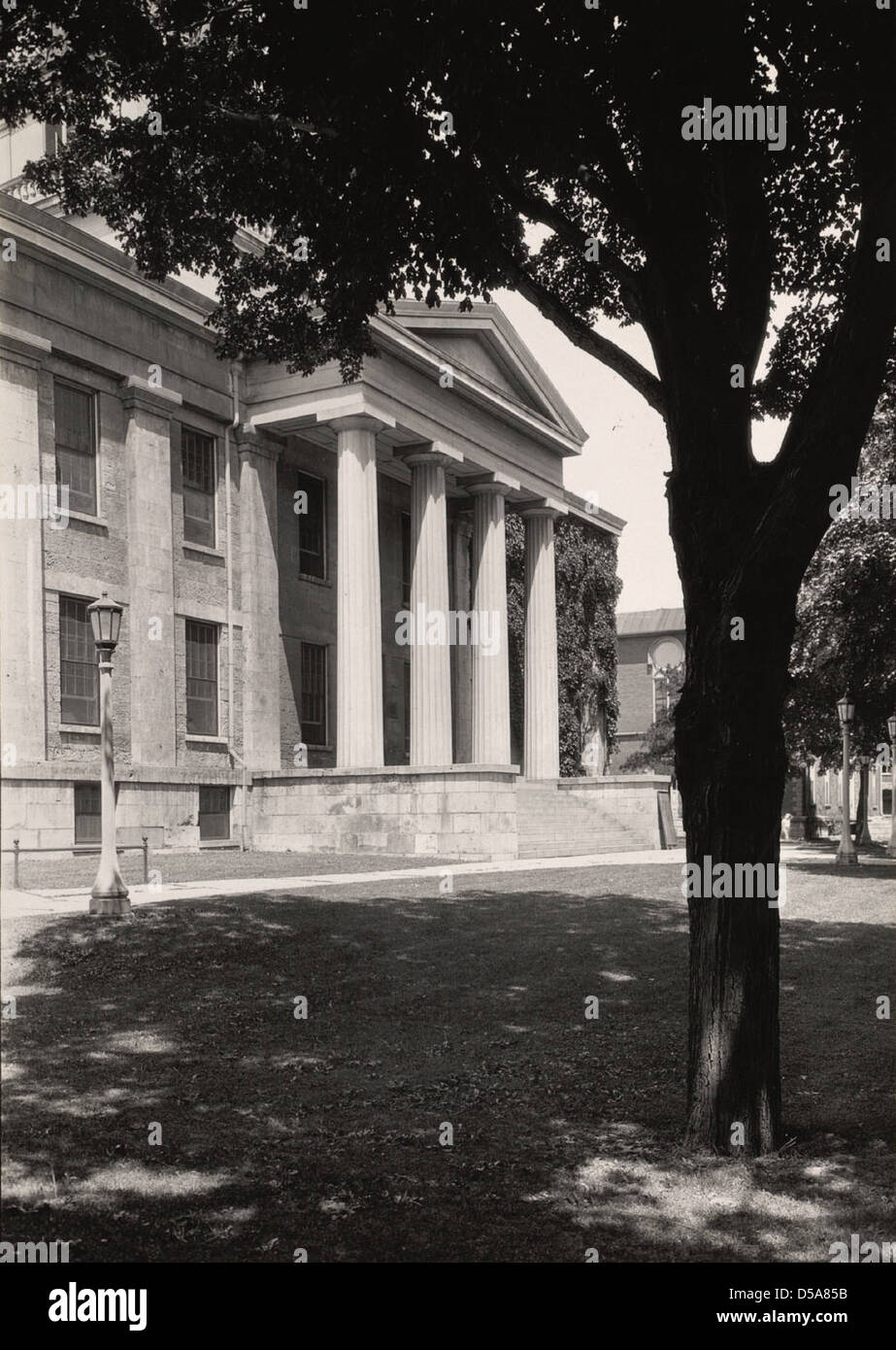 Columns university building in hi-res stock photography and images - Alamy