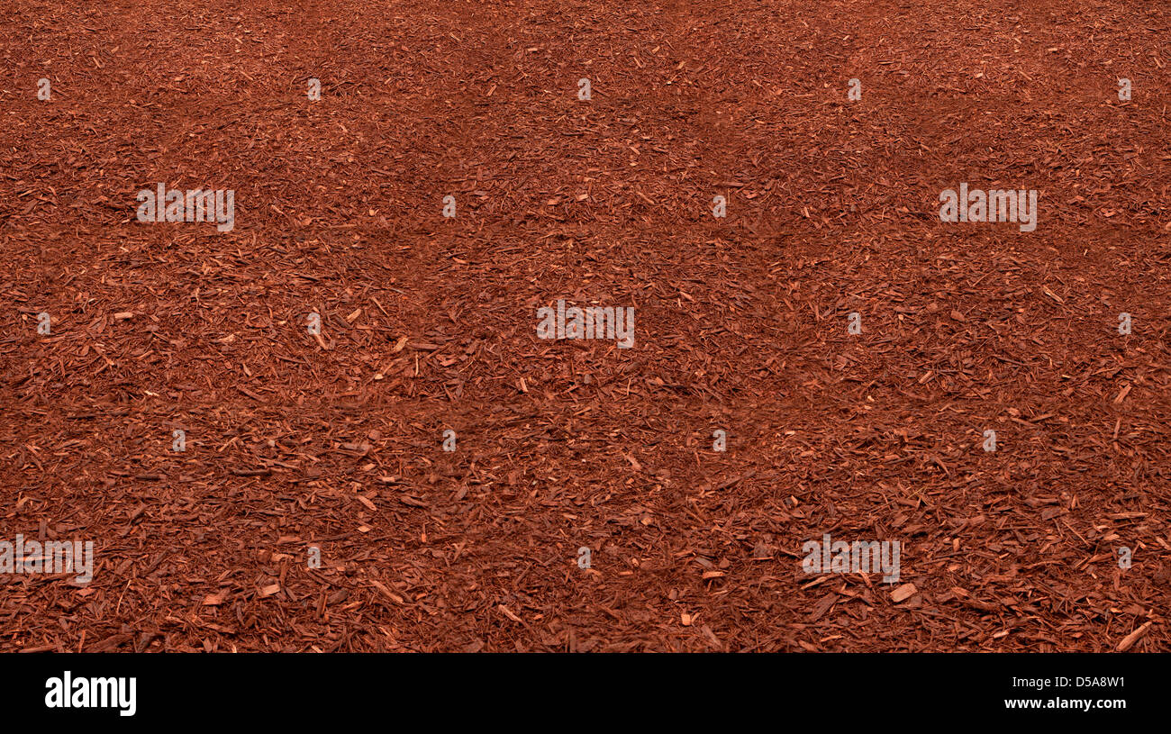 Wood back ground texture hi-res stock photography and images - Alamy