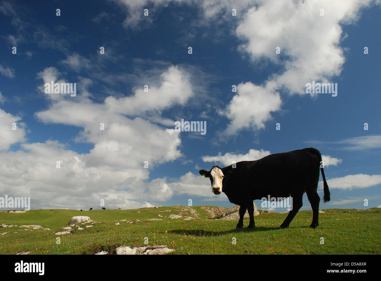 Ballyconnelly hi-res stock photography and images - Alamy