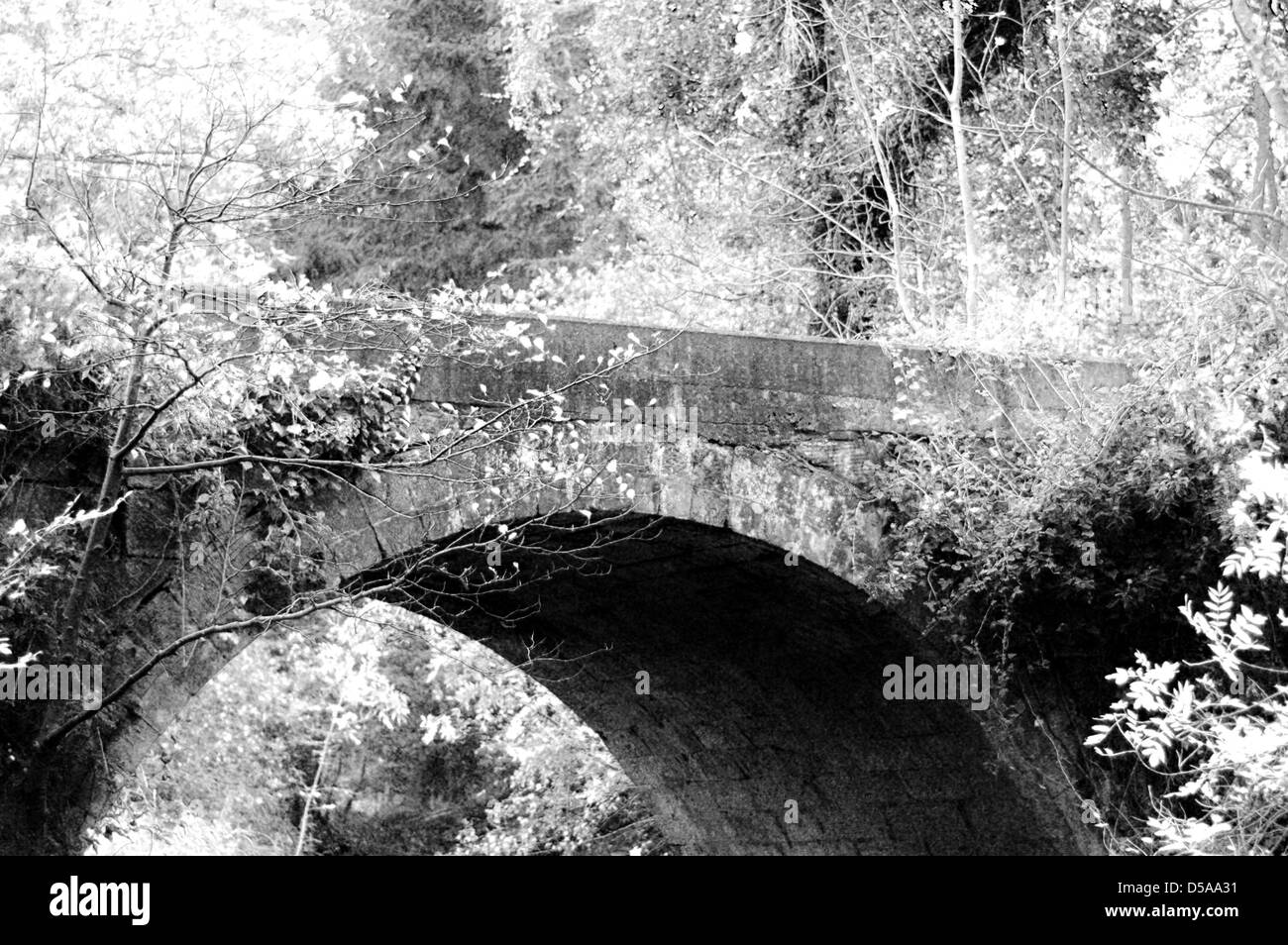 Repton bridge hi-res stock photography and images - Alamy