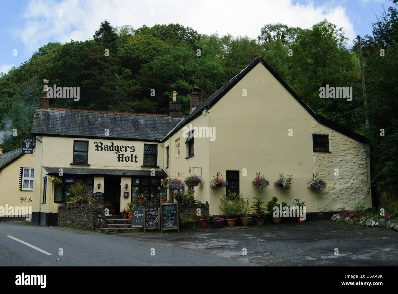 Badgers holt hi-res stock photography and images - Alamy
