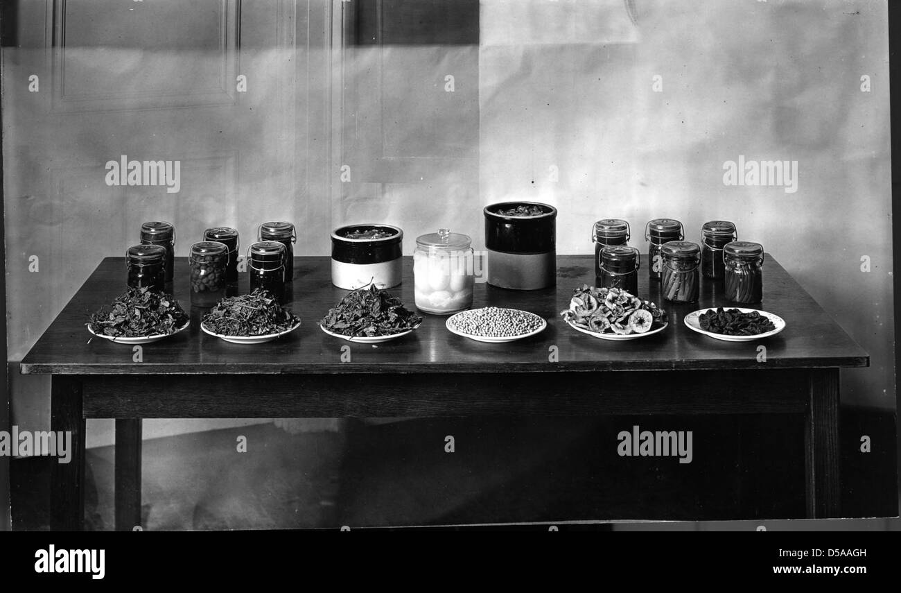 This photo, taken in December 1918, depicts various forms of preserved ...