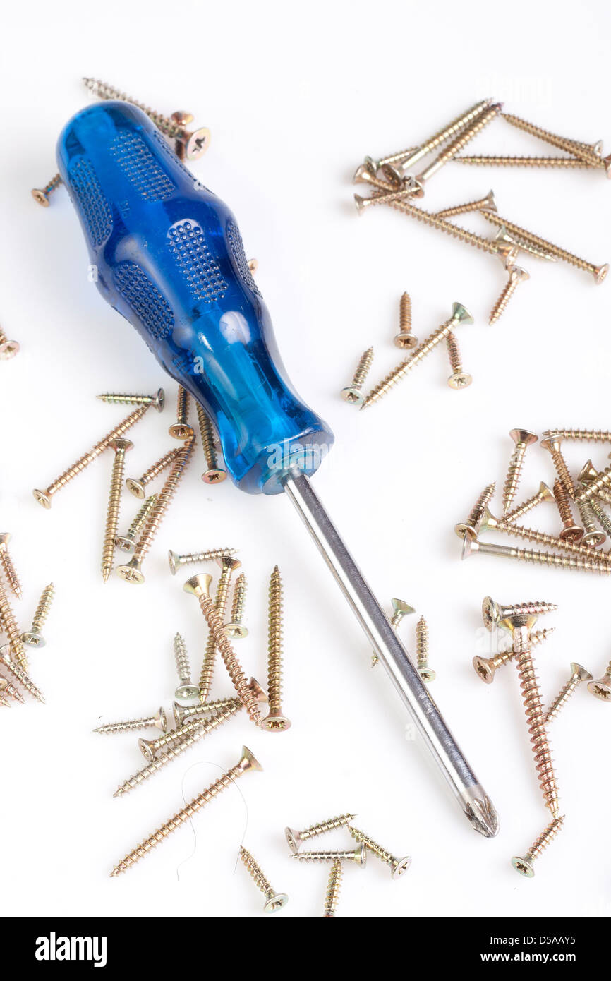 Blue screwdriver surrounded by many tech screws Stock Photo - Alamy