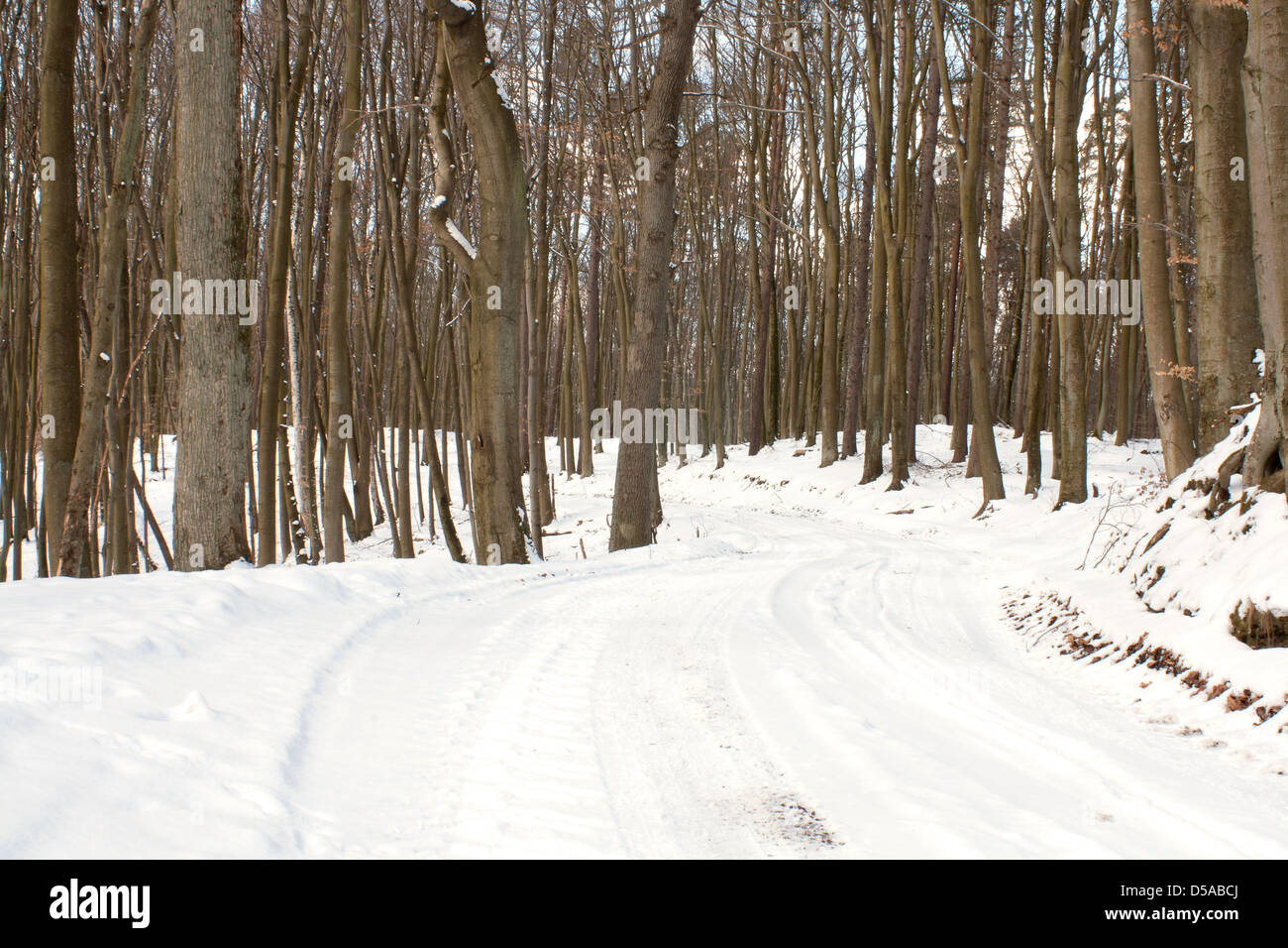 Curvy road snowy forest hi-res stock photography and images - Alamy