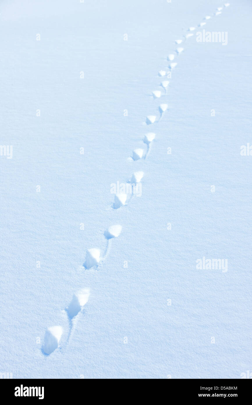 Beautiful sunny polar day hi-res stock photography and images - Alamy