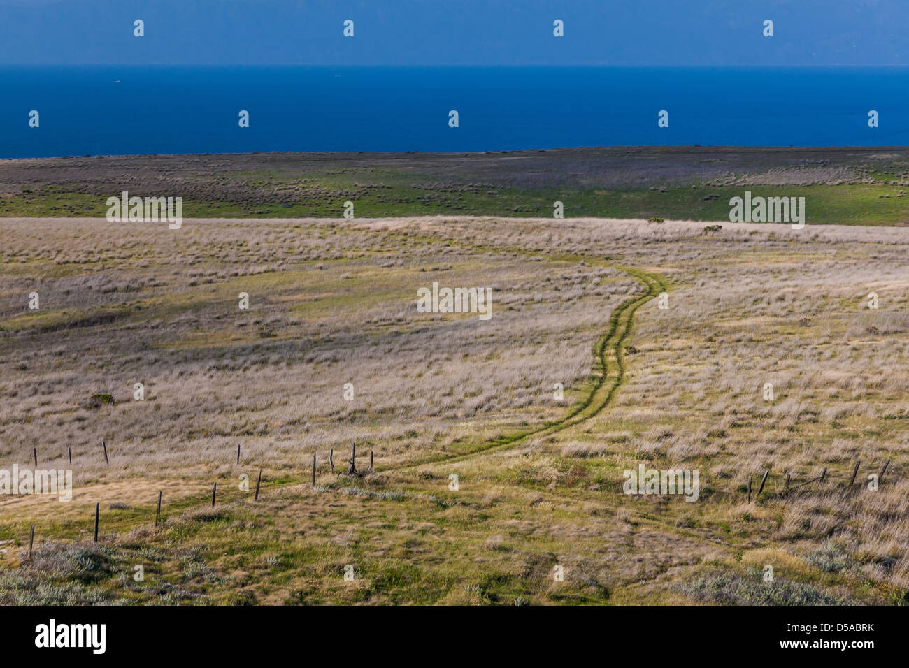 Old two-track road crossing high plateau on Santa Cruz Island in ...