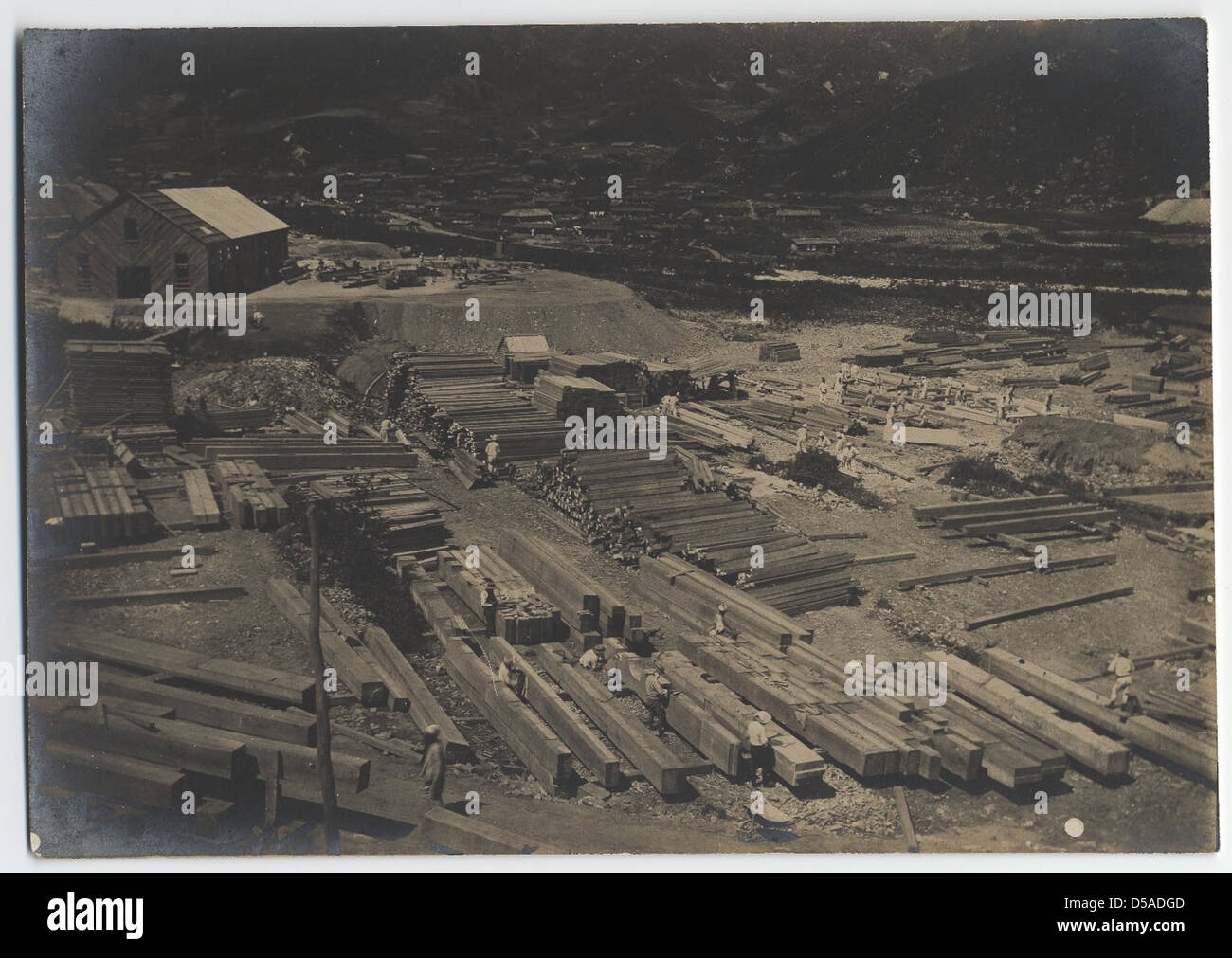 The image shows lumber processed by Korean lumbermen for the Taracol ...