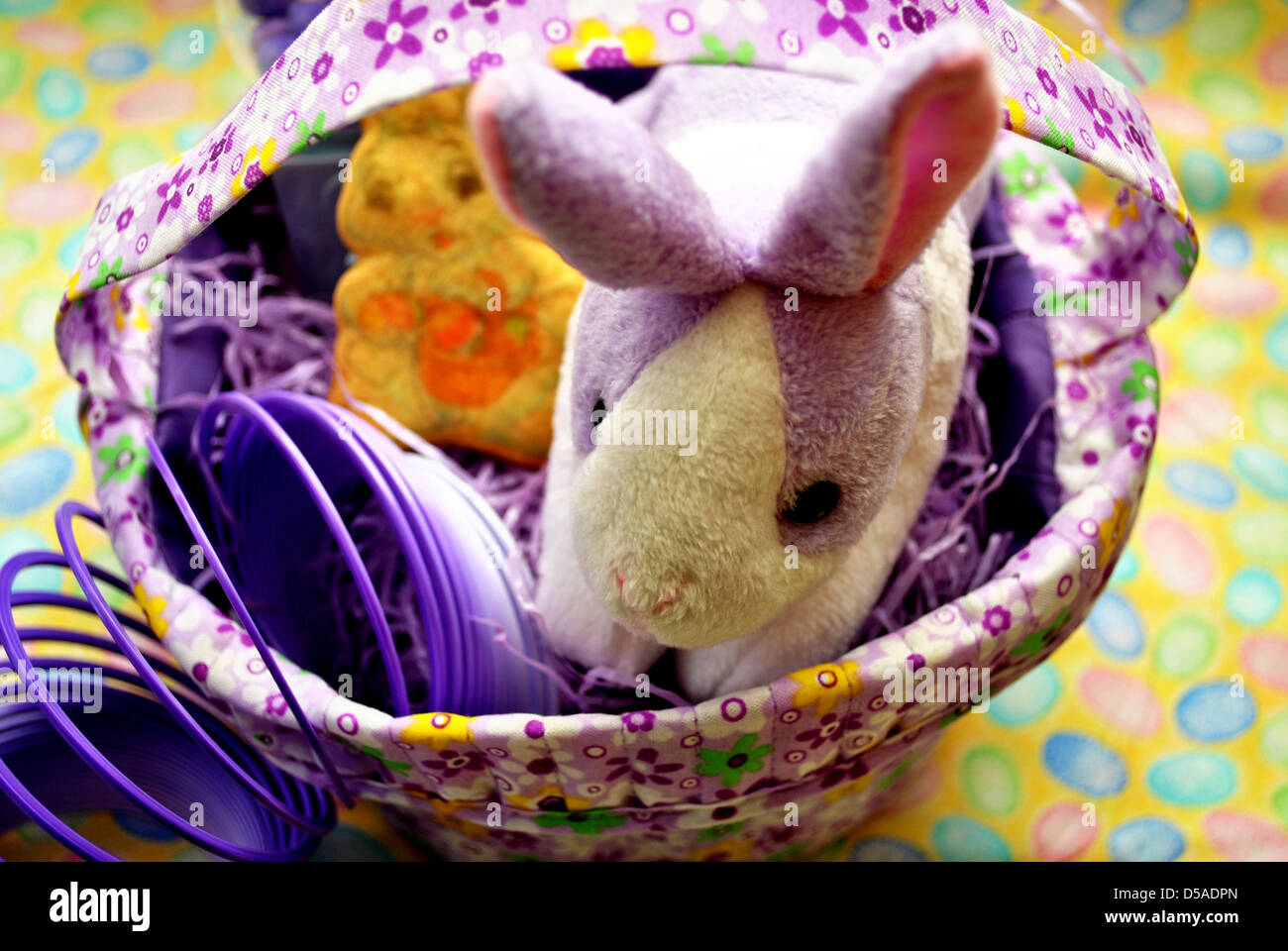 Purple easter bunny hi-res stock photography and images - Alamy