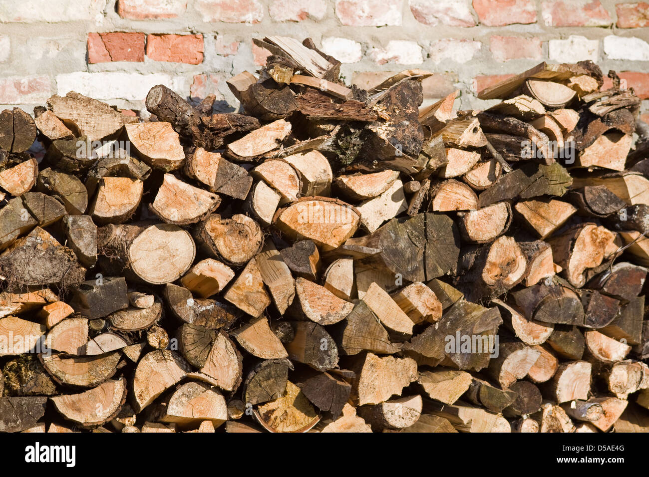 Berlin, Germany, stacked firewood in front of an ancient wall Stock ...