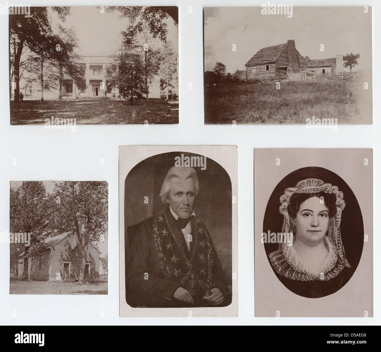 Andrew Jackson Family Tree