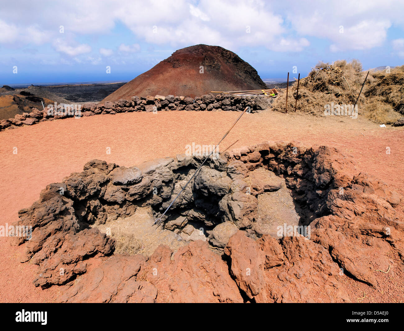 Symbol of the national park of timanfaya hi-res stock photography and ...