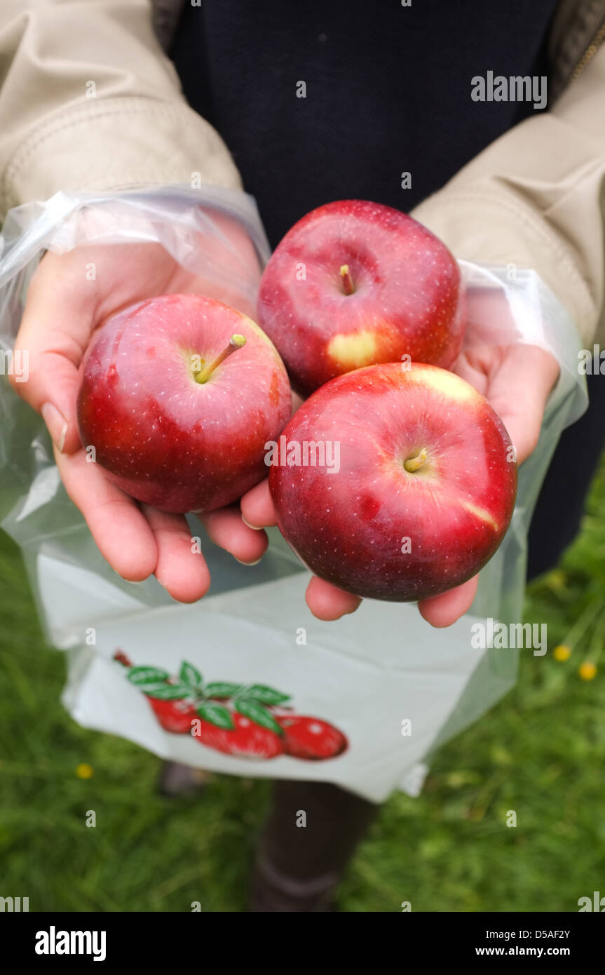 Family owned red hi-res stock photography and images - Alamy