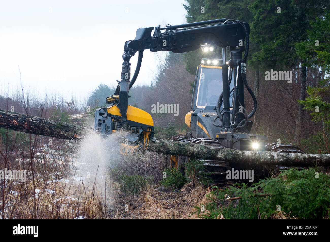 Timber harvester hi-res stock photography and images - Alamy
