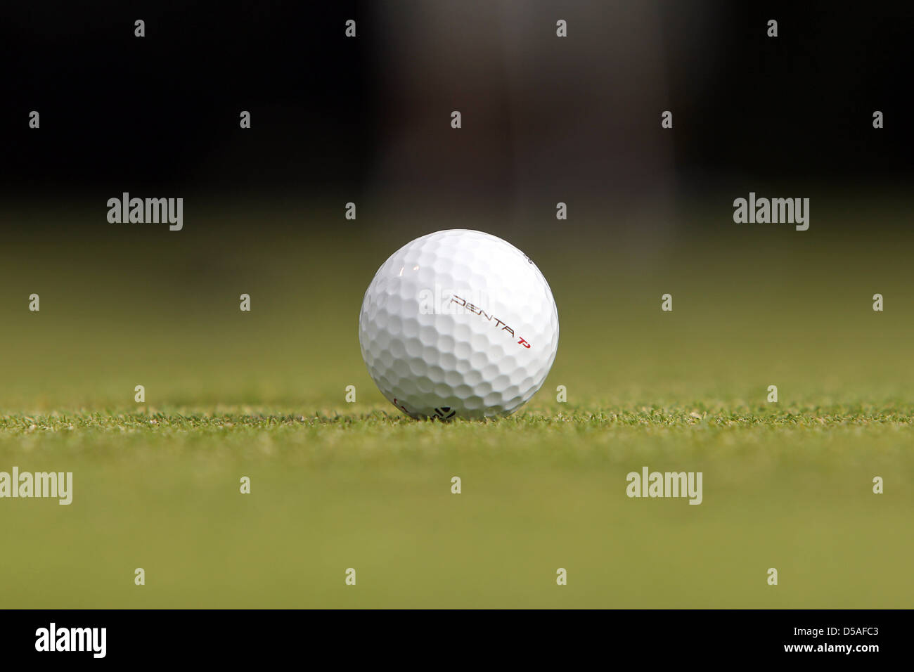 Sankt Peter-Ording, Germany, a golf ball lying on the grass of a golf ...