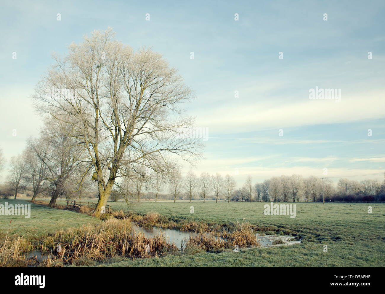 Norfolk landscape hi-res stock photography and images - Alamy