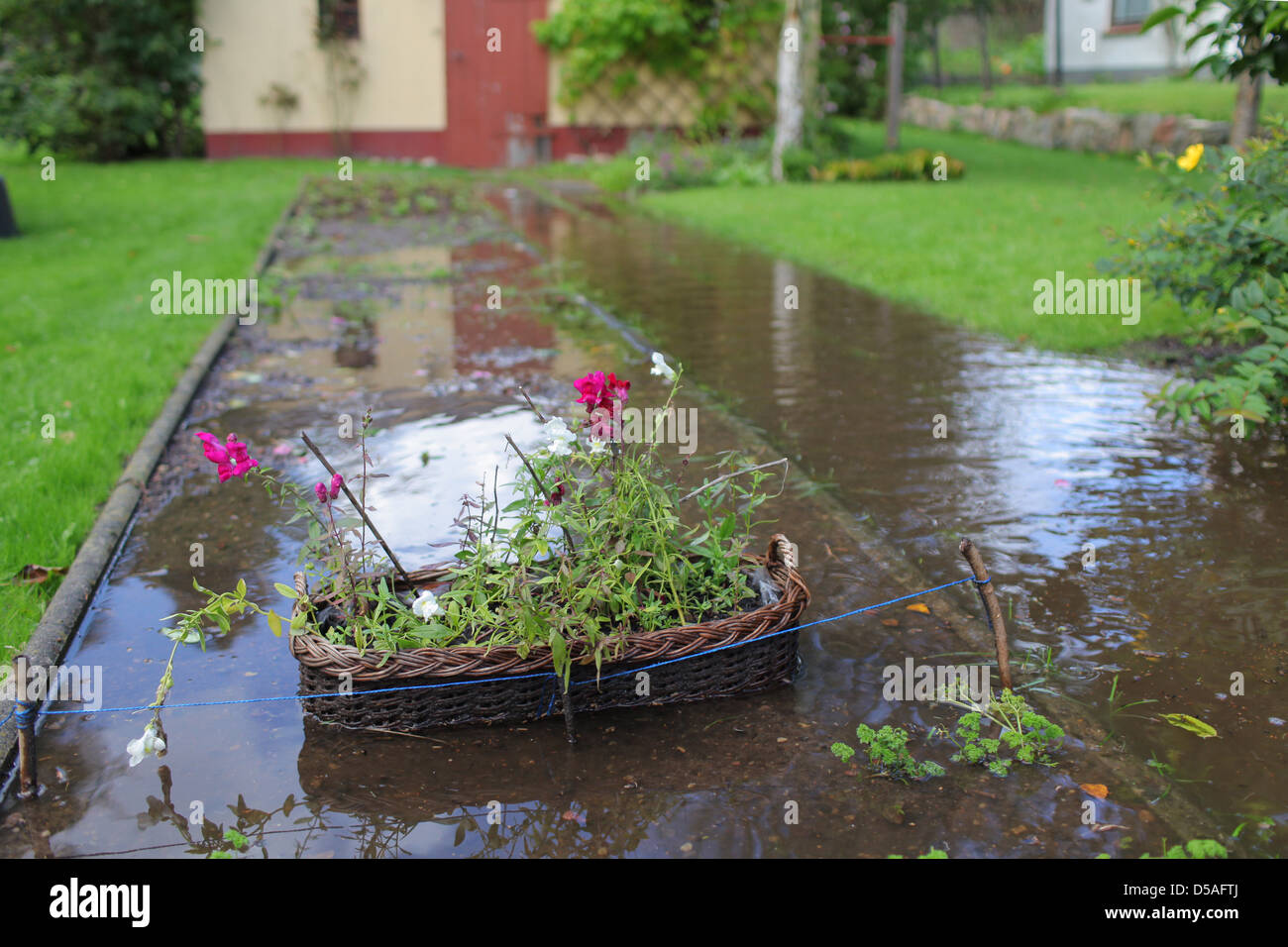 Flooded vegetable garden hi-res stock photography and images - Alamy