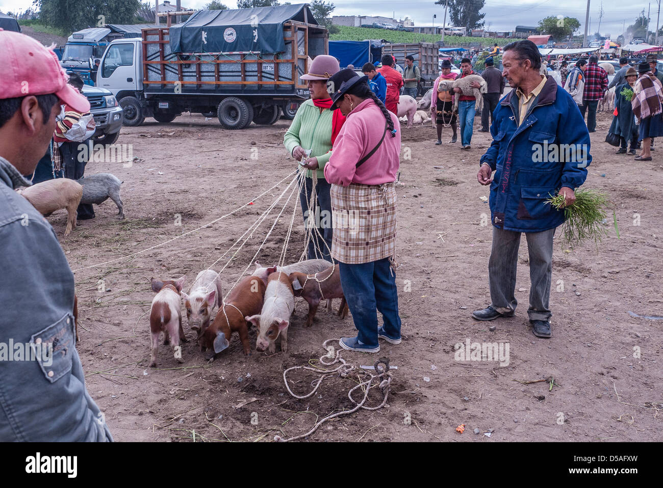Pig woman leash hogs hi-res stock photography and images - Alamy