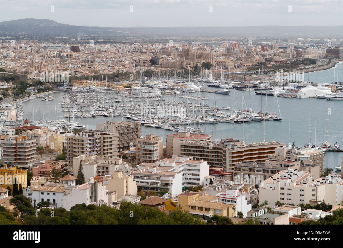 Palma de Mallorca´s seaside view, with recreational port and gothic ...