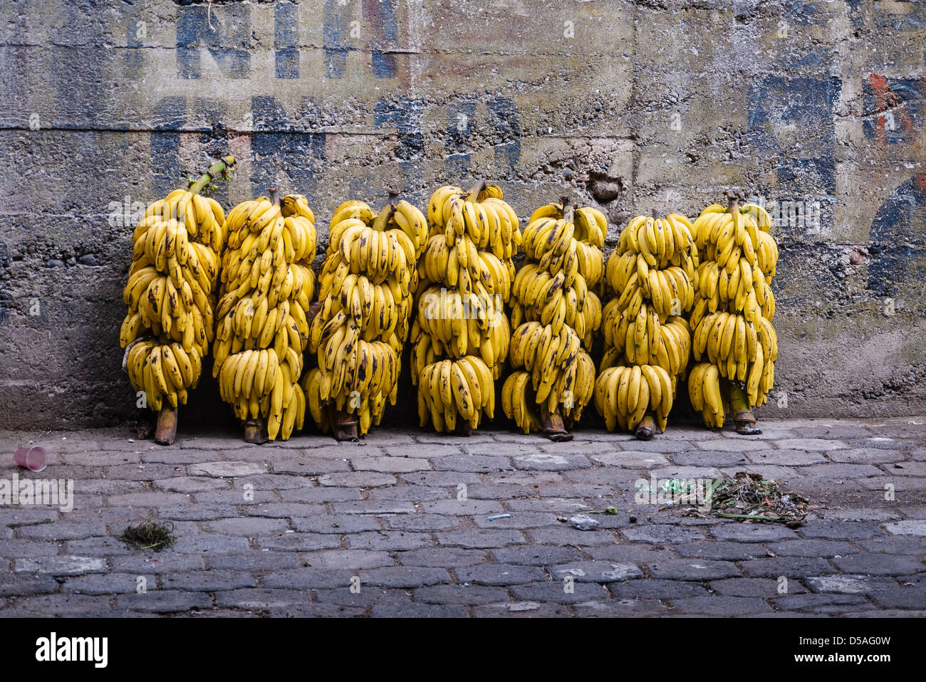 Seven huge bunches of bananas are stacked against a concrete wall in a ...
