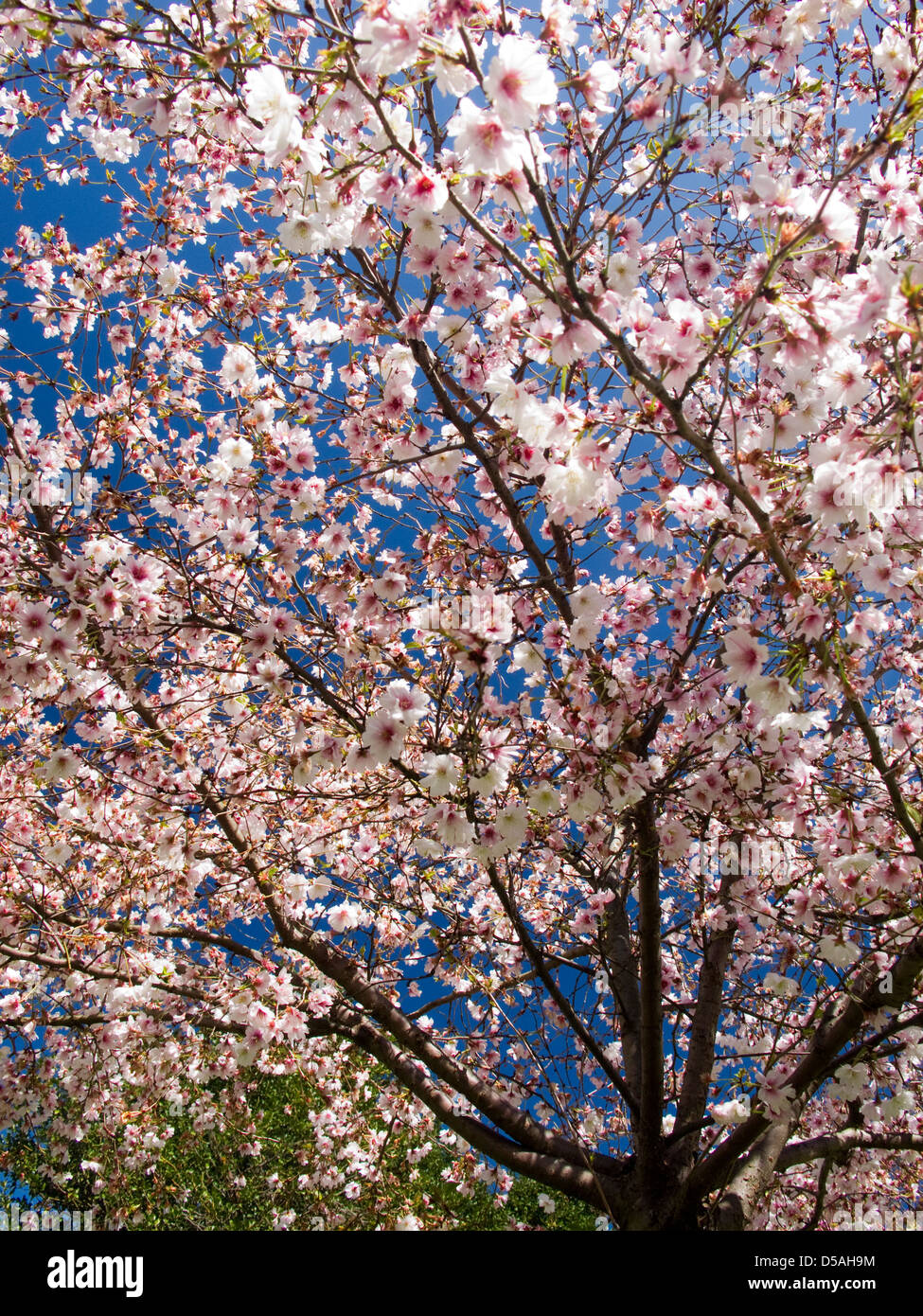 Random pattern hi-res stock photography and images - Alamy