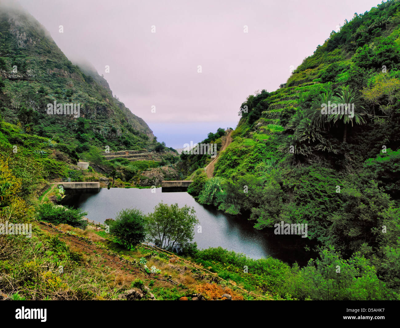 Garajonay National Park, La Gomera, Canary Islands, Spain Stock Photo ...