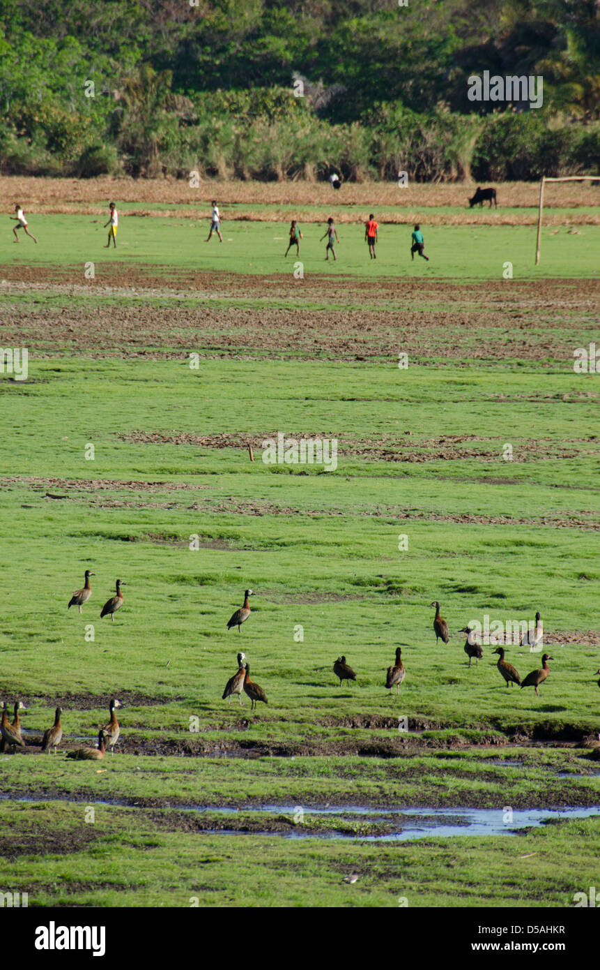 African kids play soccer High Resolution Stock Photography and Images ...