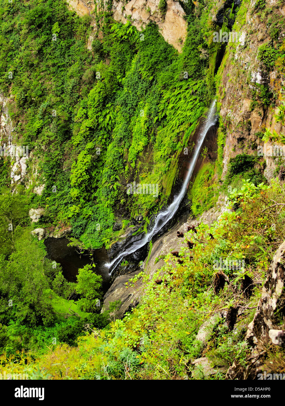 Garajonay National Park, La Gomera, Canary Islands, Spain Stock Photo ...