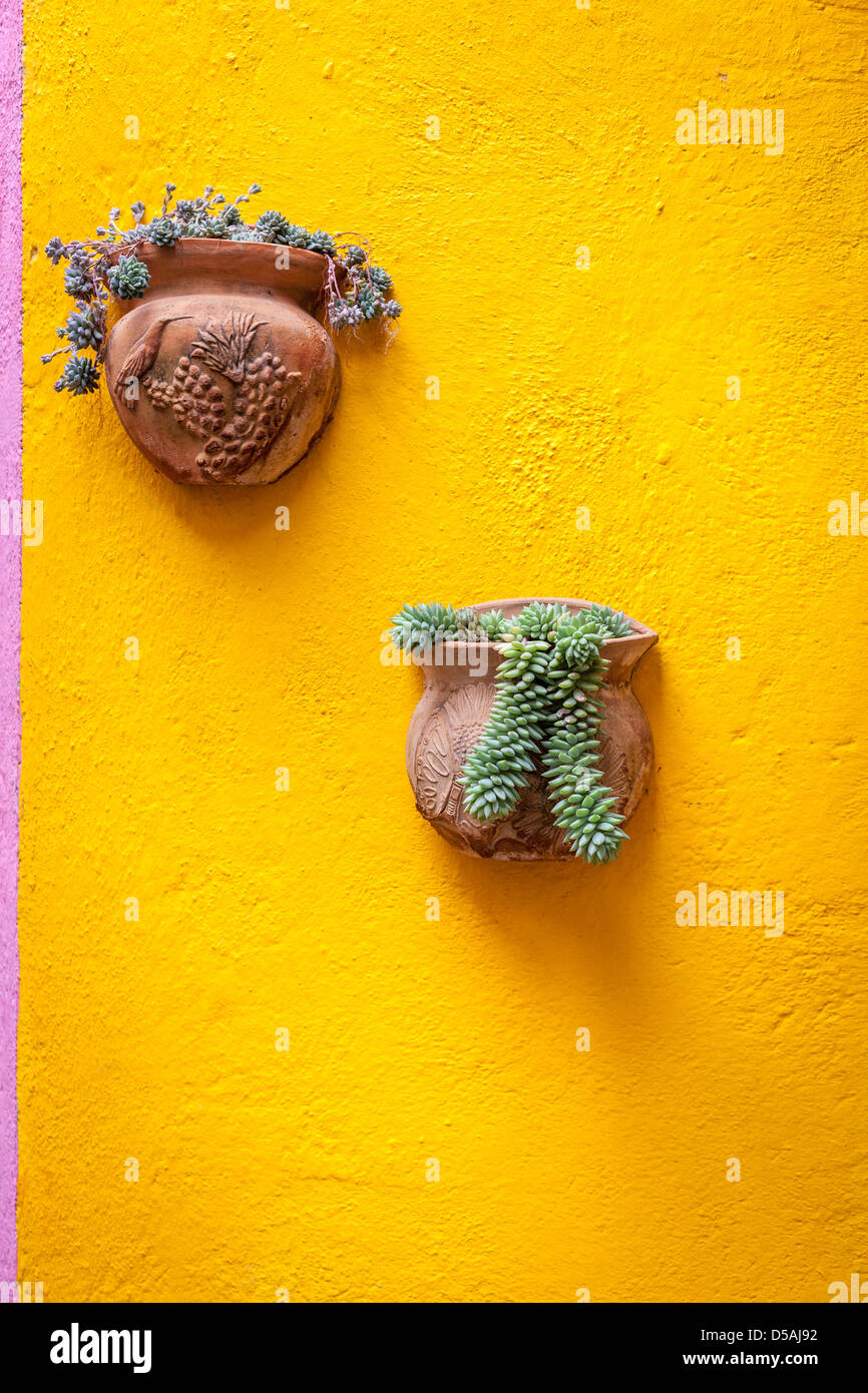 Yellow adobe wall of a traditional Mexican house with flowerpots Stock ...