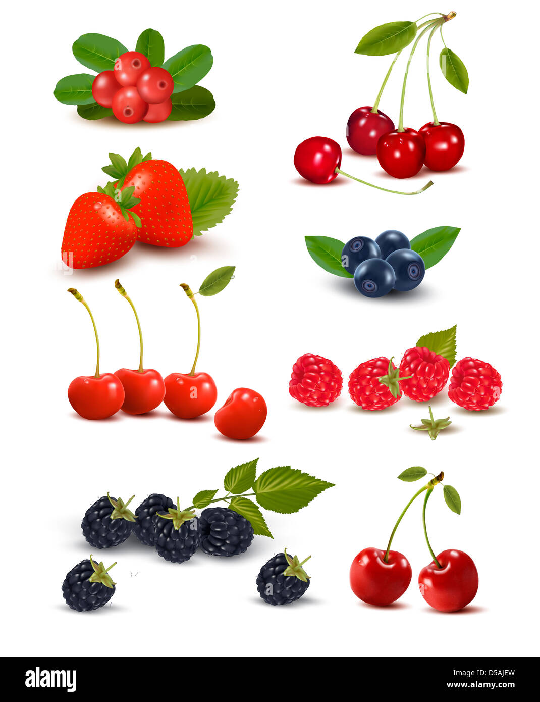 Big group of fresh berries and cherries. Vector illustration Stock ...