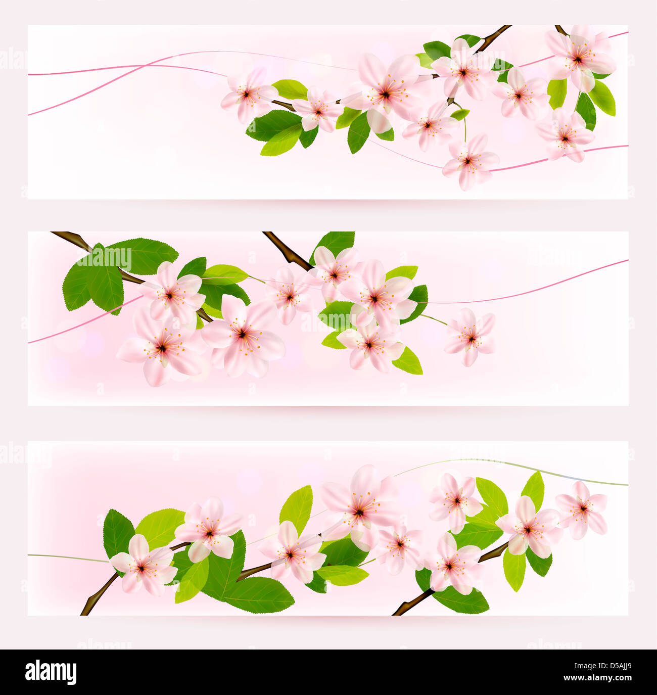 Three spring banners with blossoming tree brunch with spring flowers ...