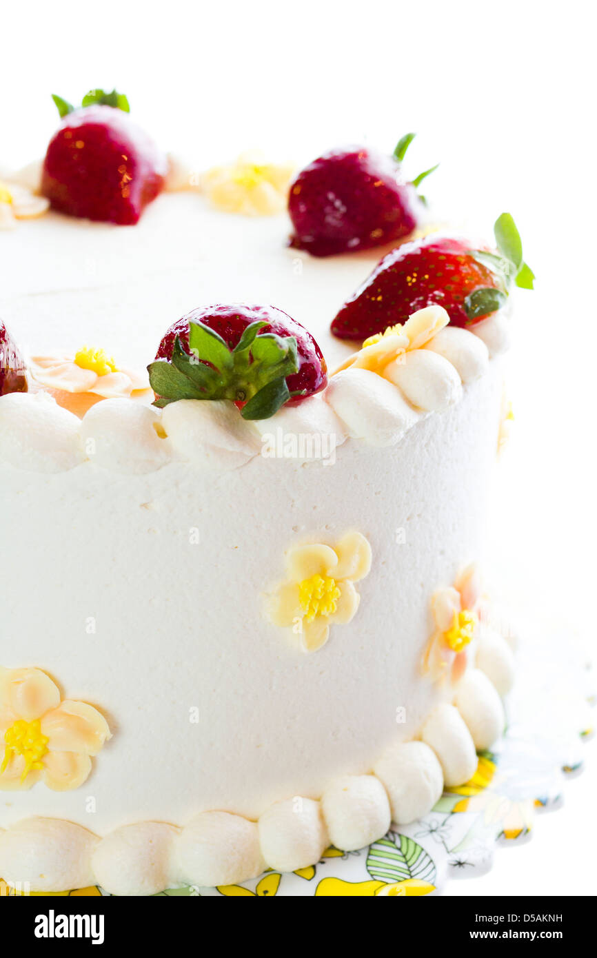 Chocolate Strawberry Lemon Torte made with 6 layers of chocolate cake ...