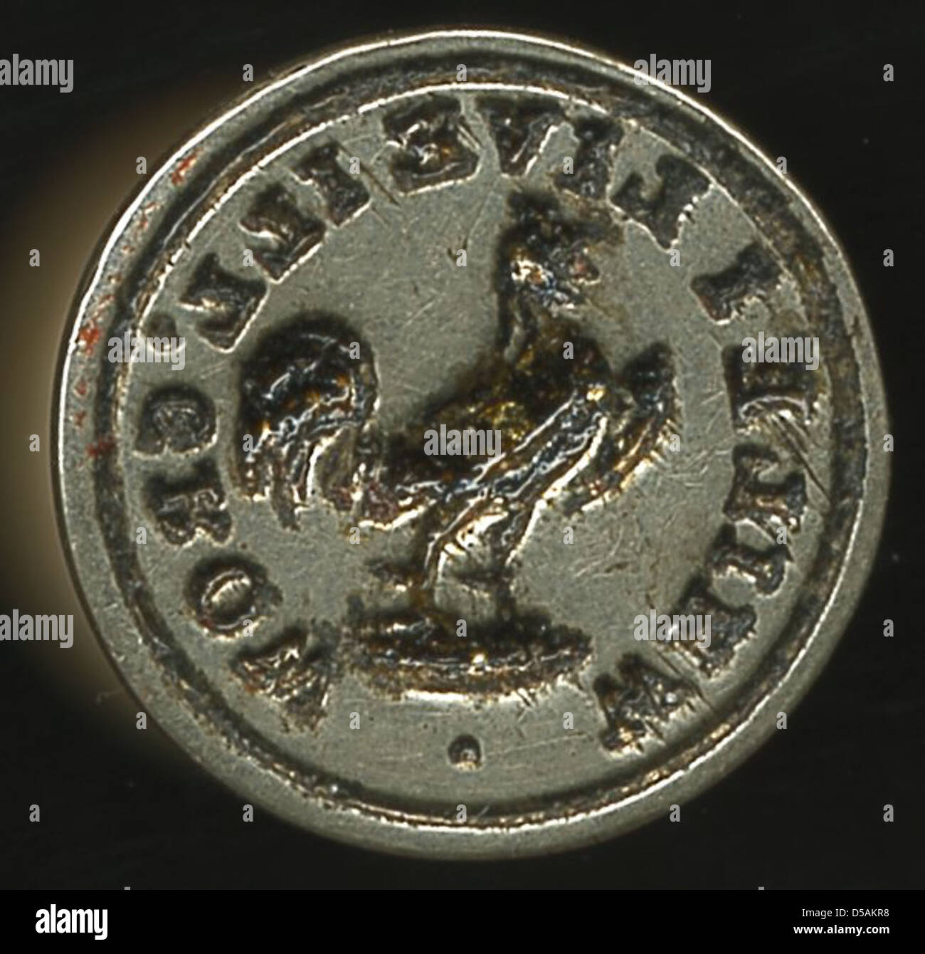 Democratic rooster hi-res stock photography and images - Alamy