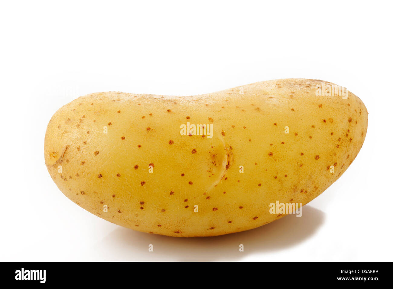 potato on white background Stock Photo - Alamy