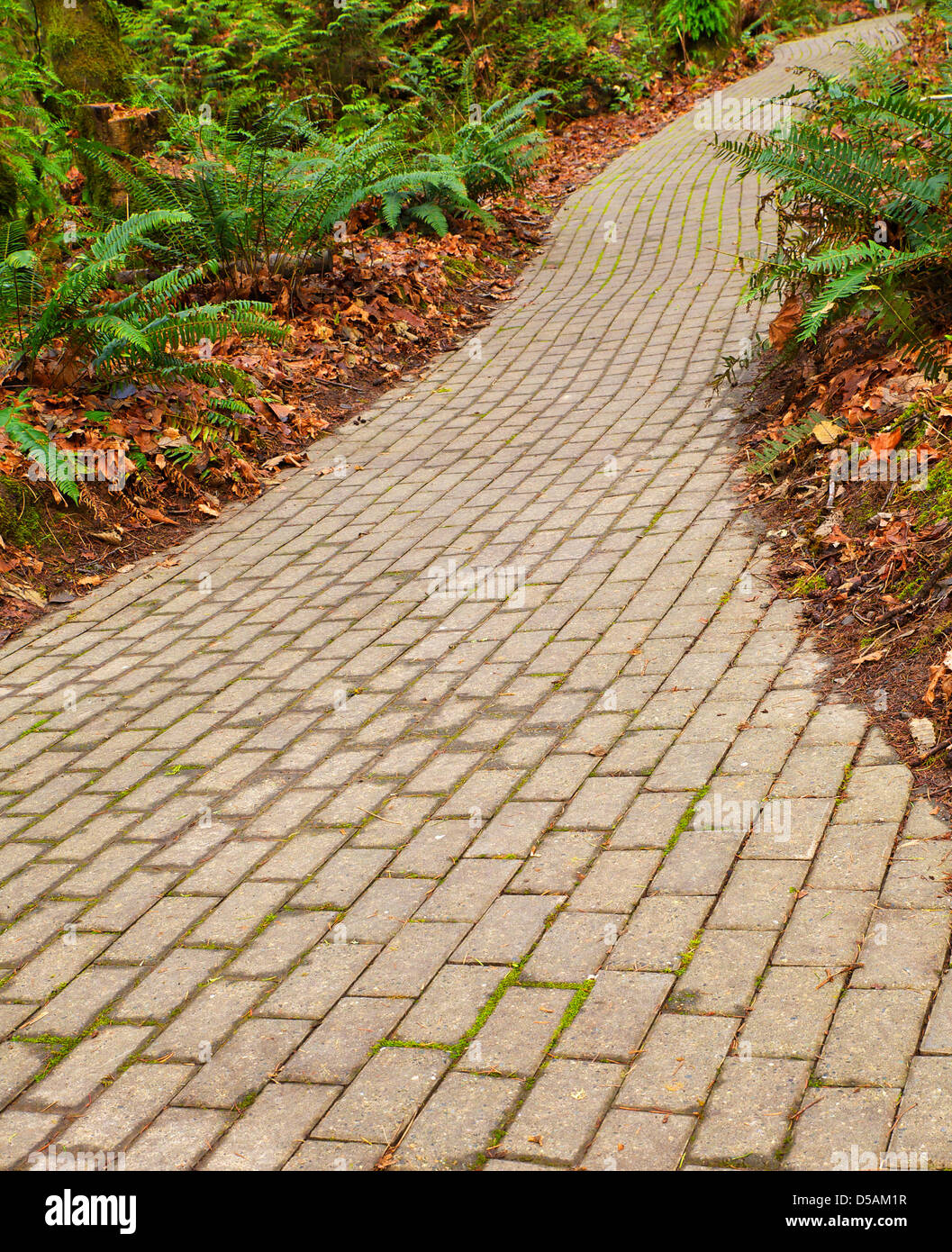 Winding brick path hi-res stock photography and images - Alamy