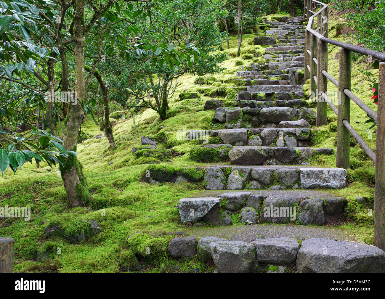 Asian Garden Stone staircase with wood railing and surrounding green ...