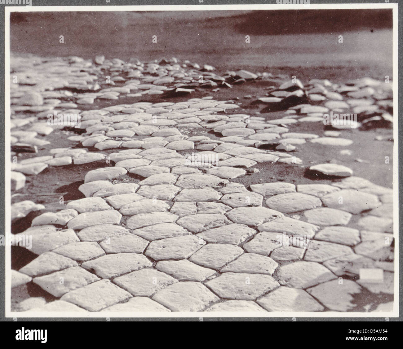 Basalt pavement, Kirkjubær (Síða Stock Photo - Alamy