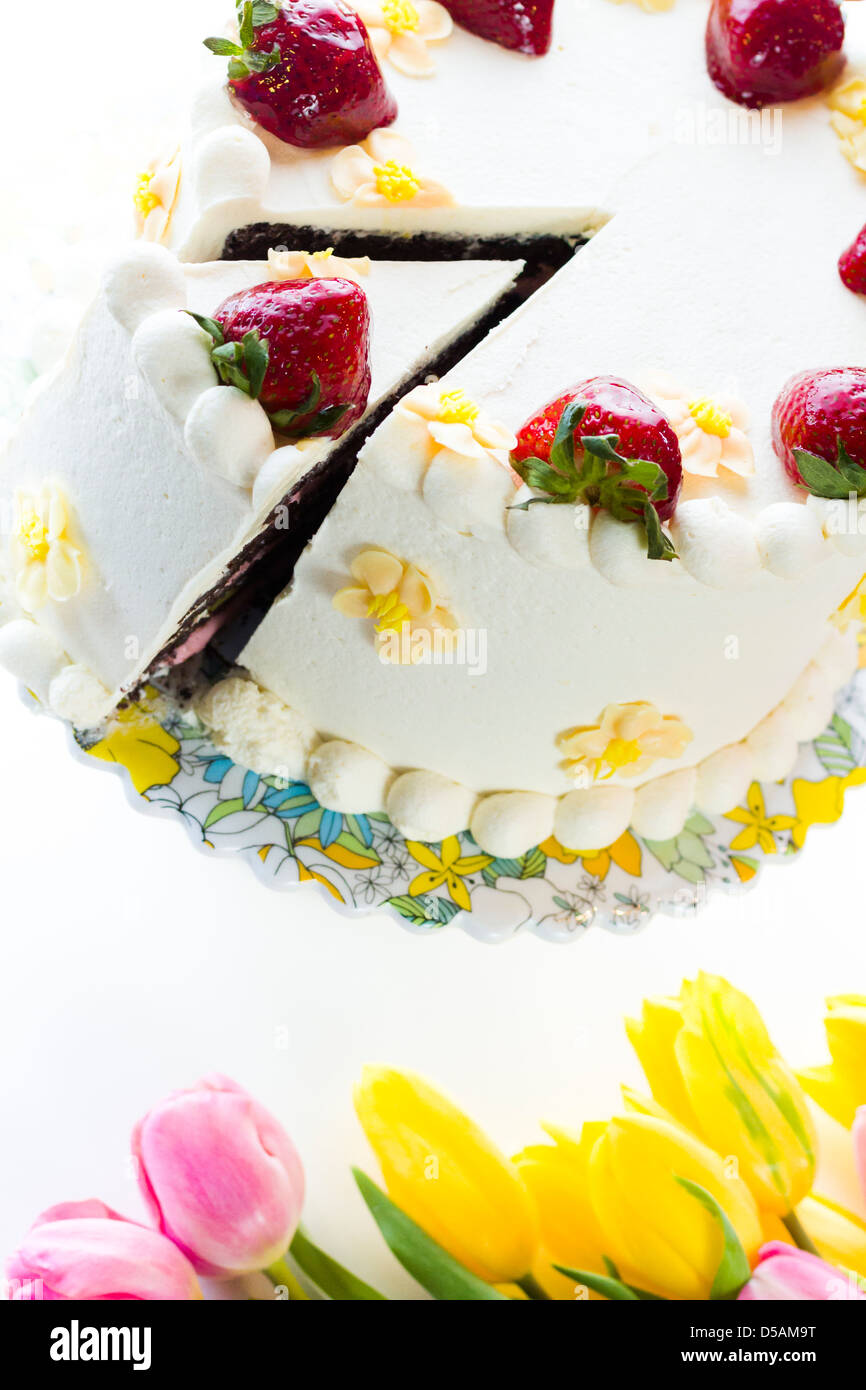 Chocolate Strawberry Lemon Torte made with 6 layers of chocolate cake ...