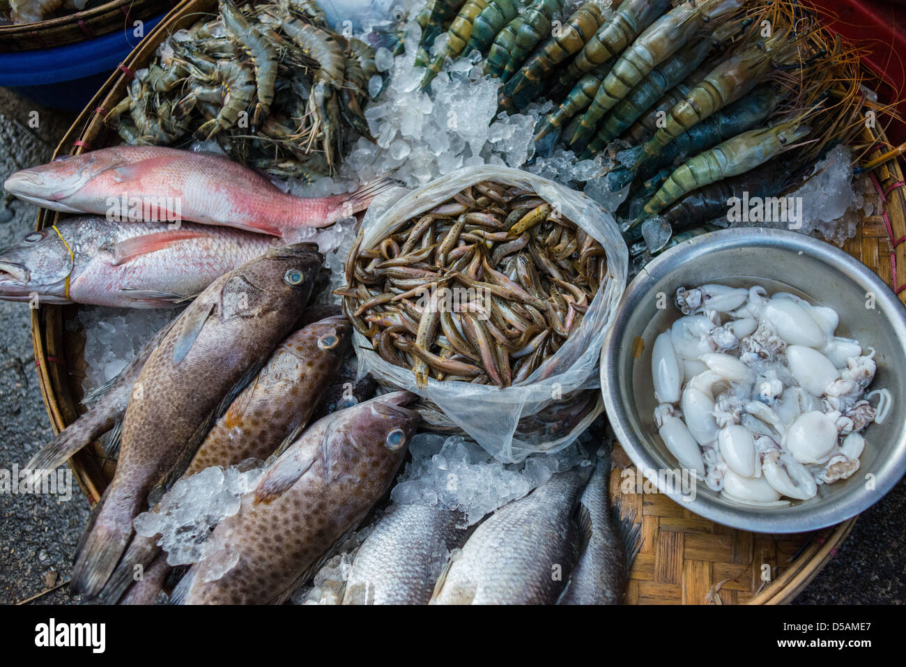 Fish for sale at the market Stock Photo - Alamy