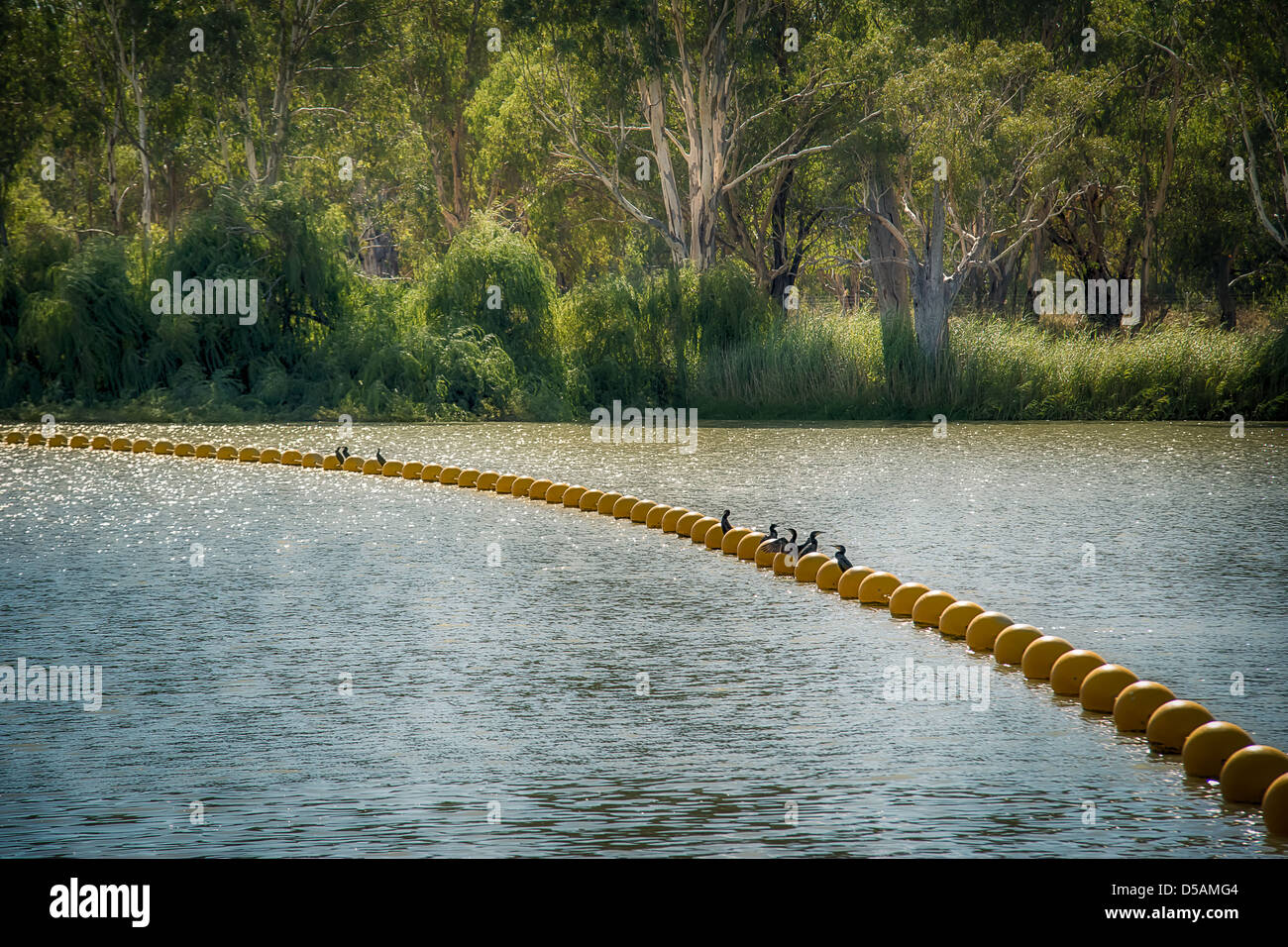 Lock 1 on the River Murray near Swan Reach, South Australia Stock Photo ...