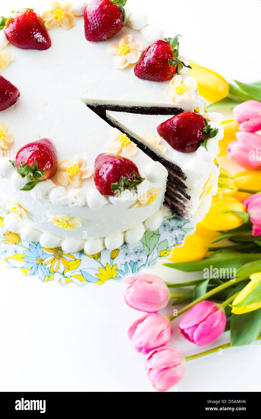 Chocolate Strawberry Lemon Torte made with 6 layers of chocolate cake ...